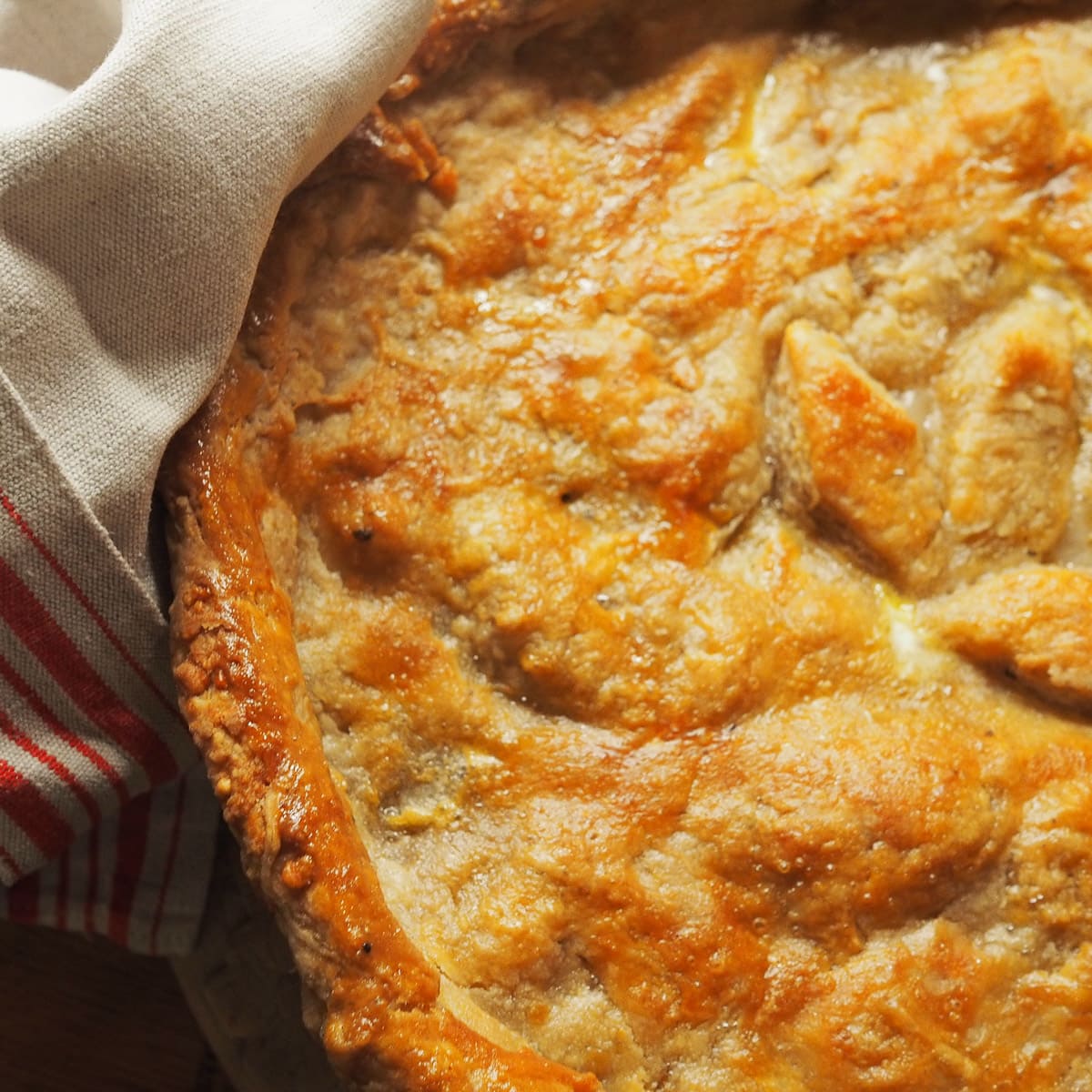 Chicken Pie with Parmesan Crust - The Wild Epicurean