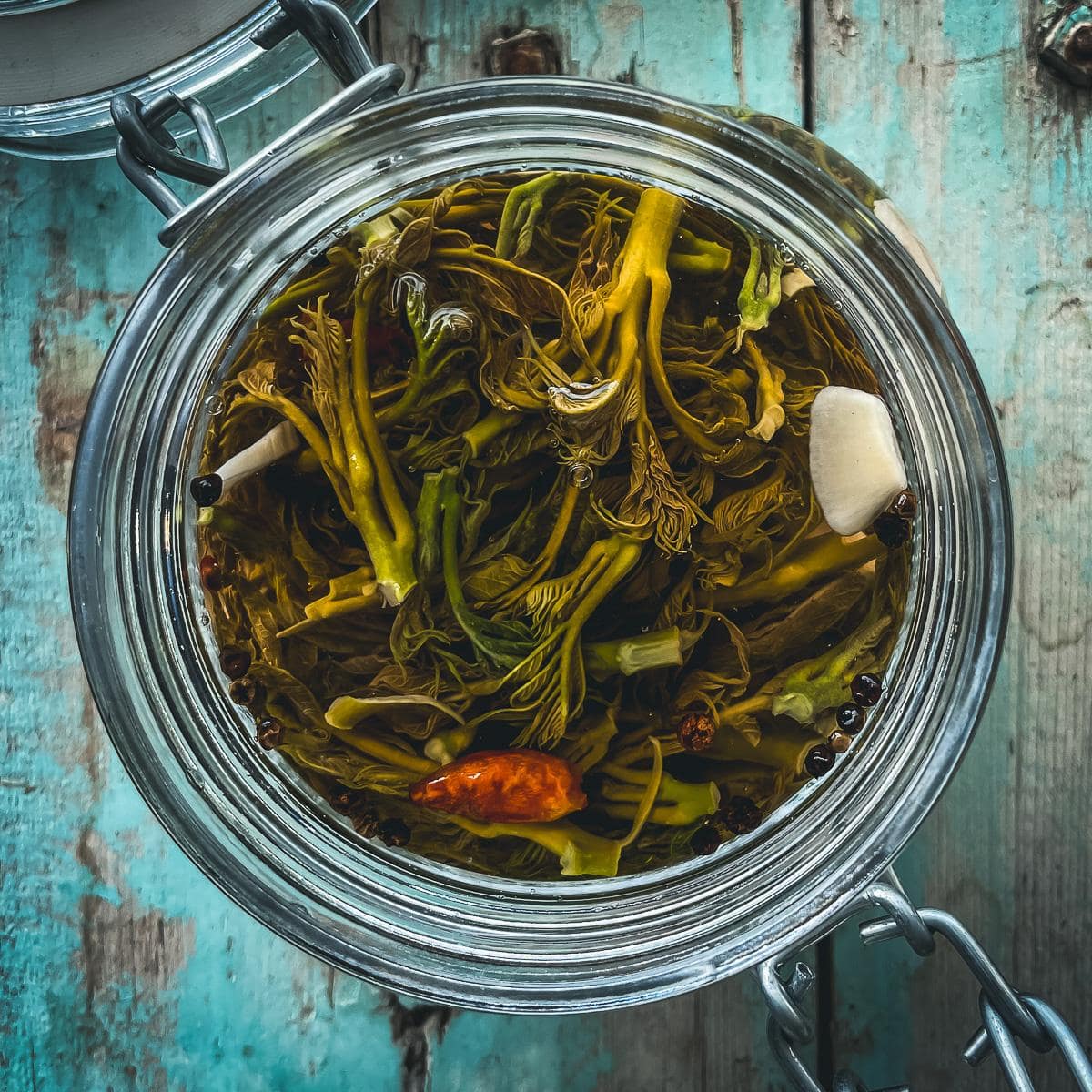 Tsitsiravla Pickle (Wild Pistachio) - The Wild Epicurean